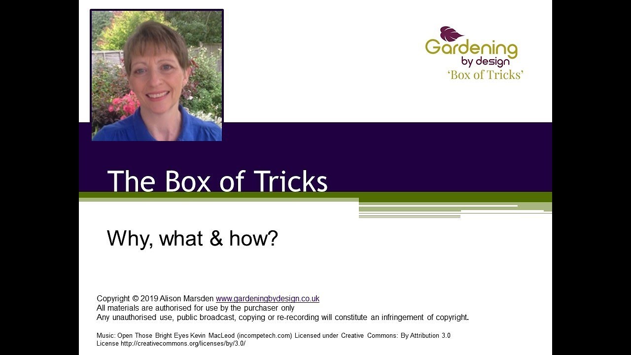 The Box of Tricks - YouTube