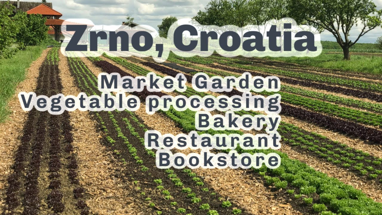 REGENERATIVE AGRICULTURE WITH CROATIA'S PIONEERS (Bio Zrno with David ...