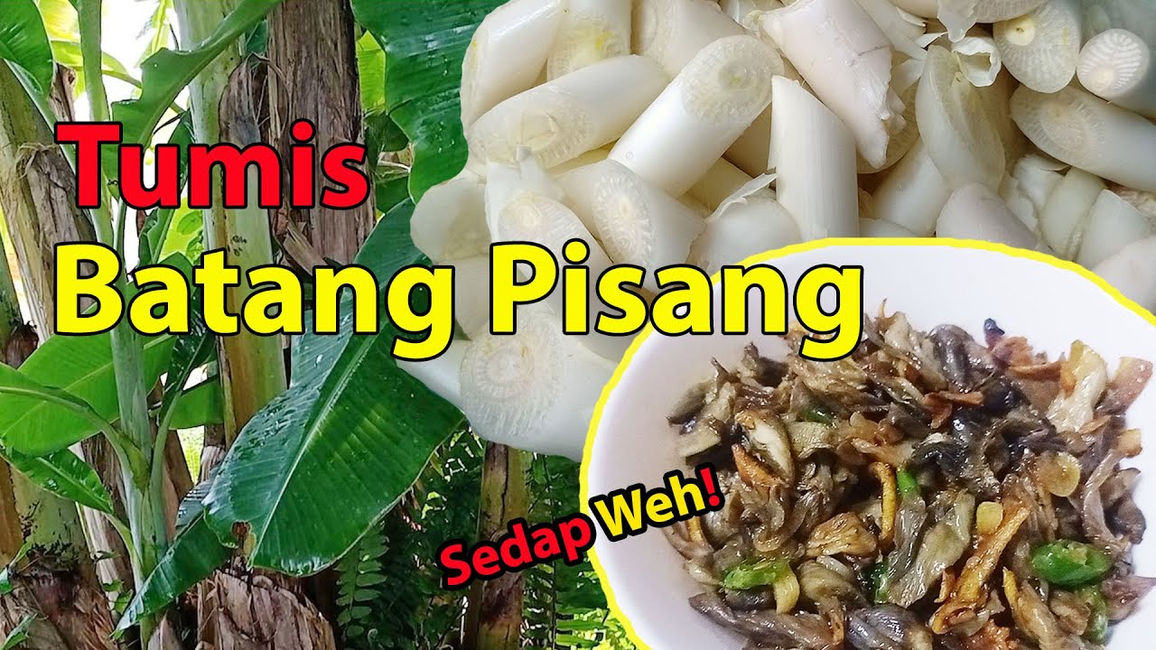 Resepi Tumis Batang Pisang / Umbut Pisang / Rias Pisang || Resepi ...