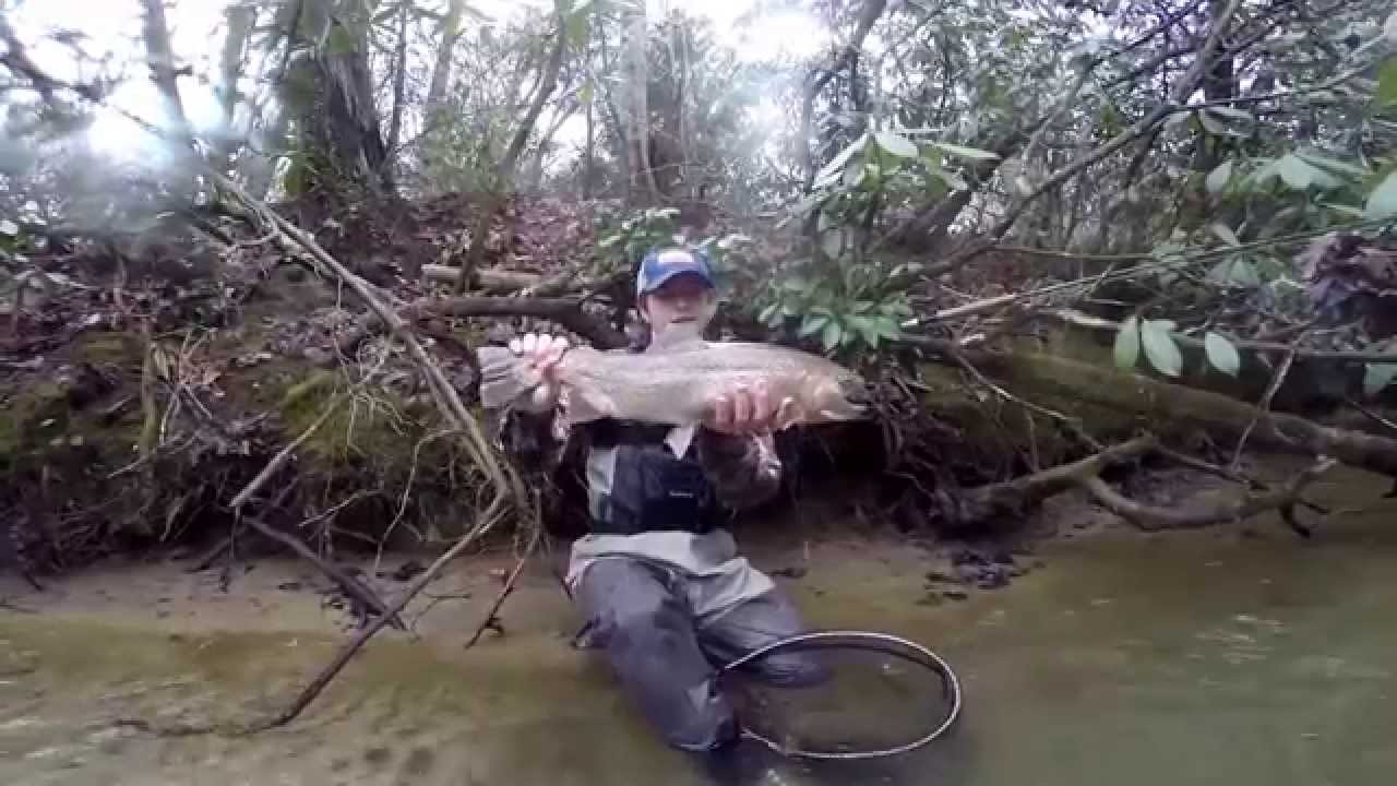 Fly Brothers: Fly Fishing North Ga - YouTube