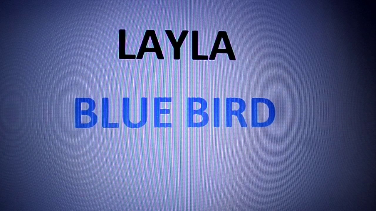Layla - Blue Bird - YouTube
