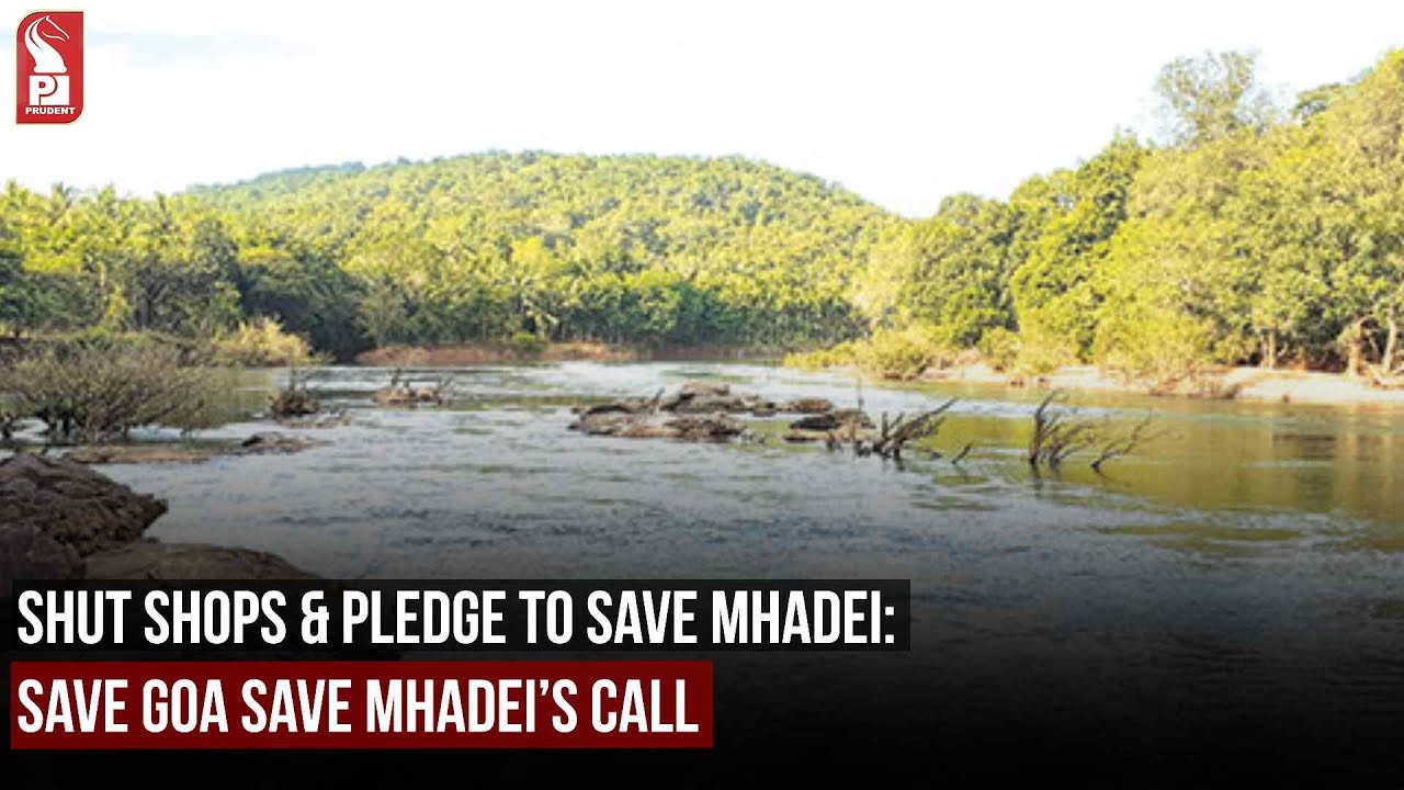 SHUT SHOPS & PLEDGE TO SAVE MHADEI: SAVE GOA SAVE MHADEI’S CALL - YouTube