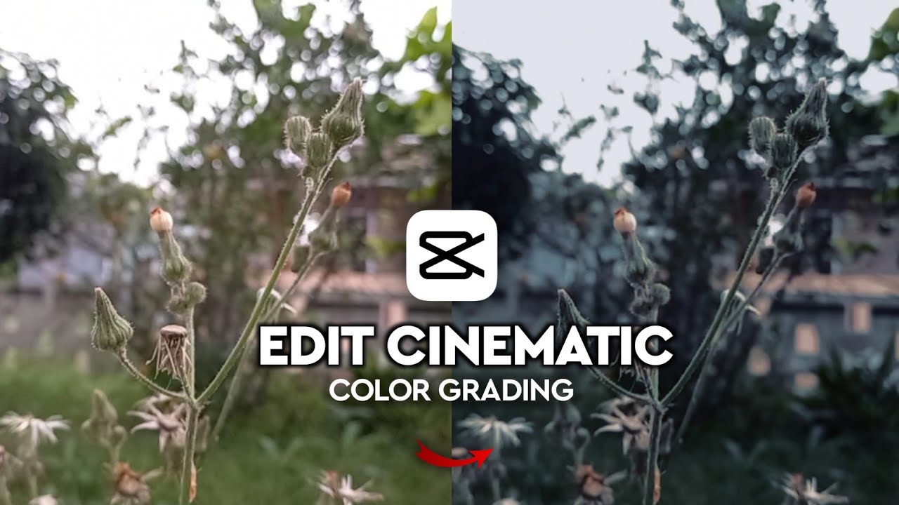 Cara Edit Video Cinematic Color Grading di Capcut - YouTube