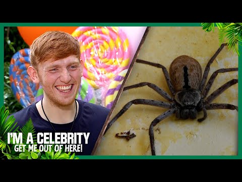 Ginge battles aggressive crabs, spiders & lizards! | I’m A Celebrity… Get Me Out of Here! 2025