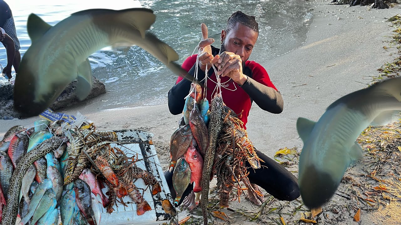 HUNTING WITH SHARKS 🦈 - YouTube