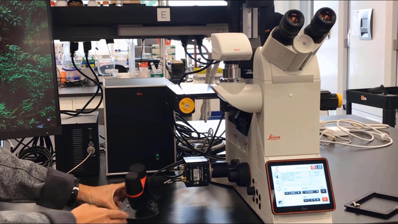 Leica Microsystems DMi8 Microscope Overview - YouTube