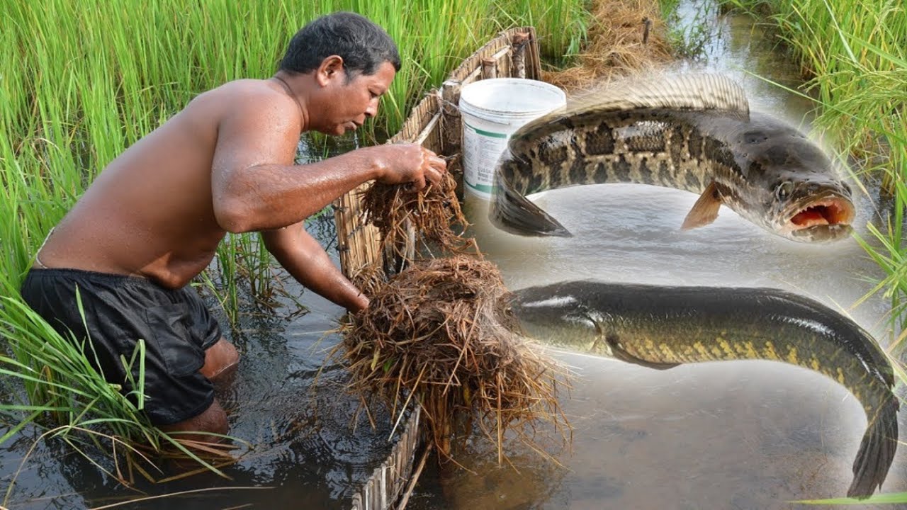 How to make shooting fish in deep pit - YouTube