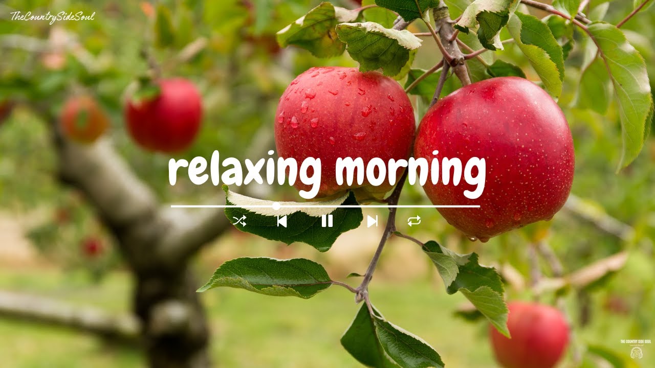 [Playlist] Your RELAXING MORNING MUSIC for a POSITIVE ENERGY as you ...
