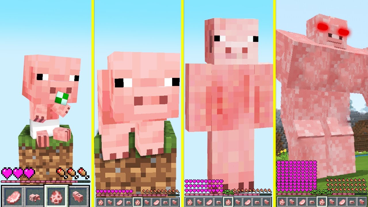 Minecraft Evolution of PIG Life Cycle Battle How to Play - YouTube