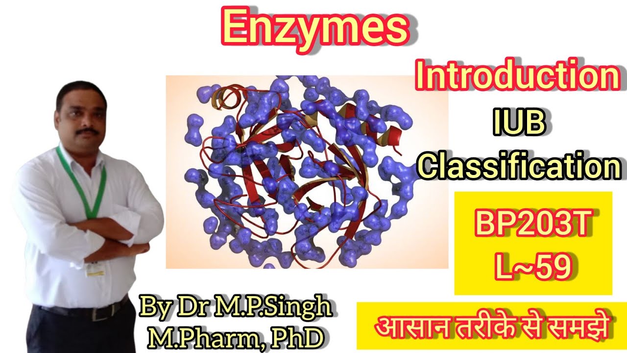 Enzymes | Introduction | IUB Classification | Biochemistry | BP203T | L ...