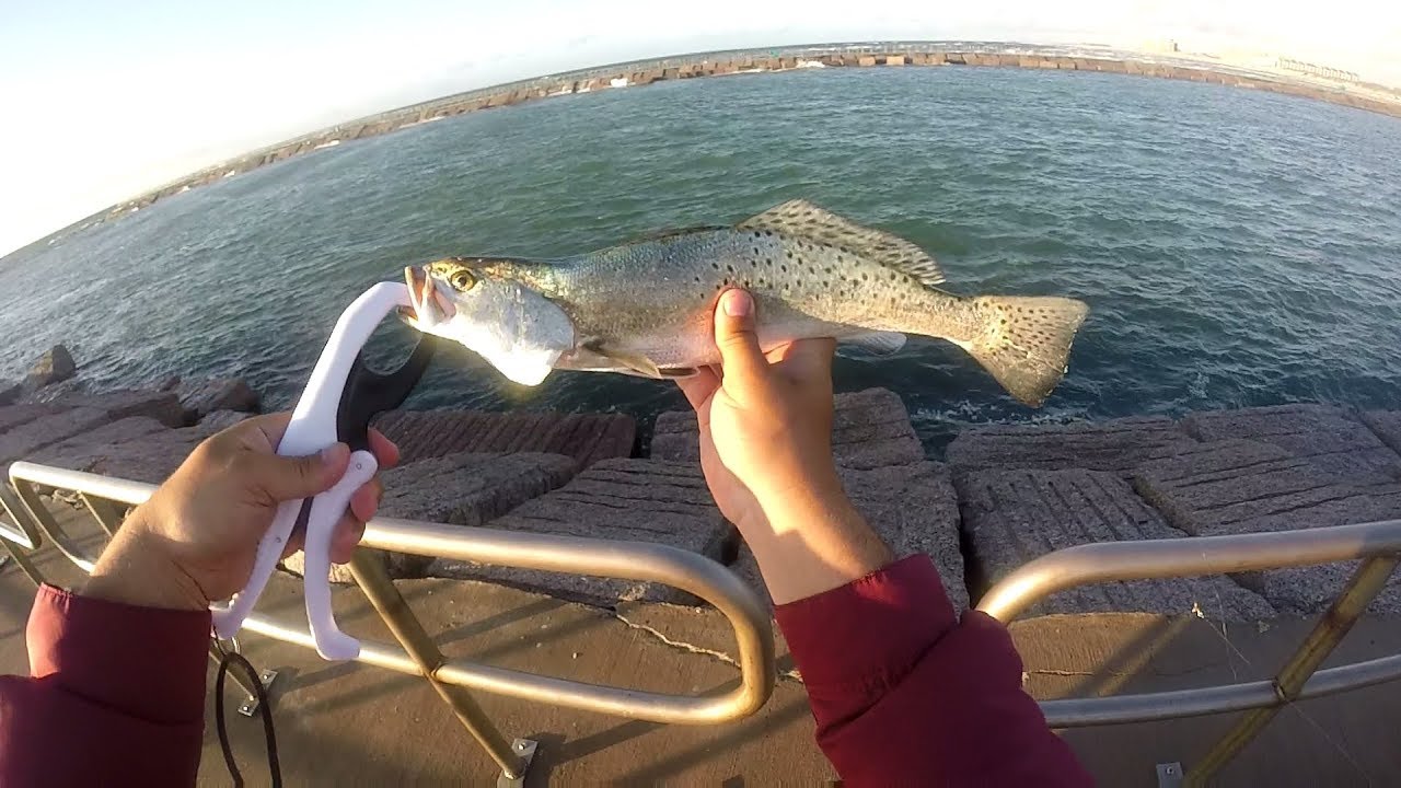 My first Speck and Red in years! Packery Channel Jetty fishing - YouTube