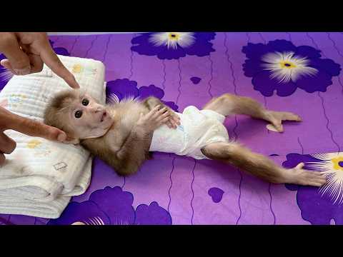 After So Many Days Apart – Lulu Enjoys Every Moment of Dad’s Care