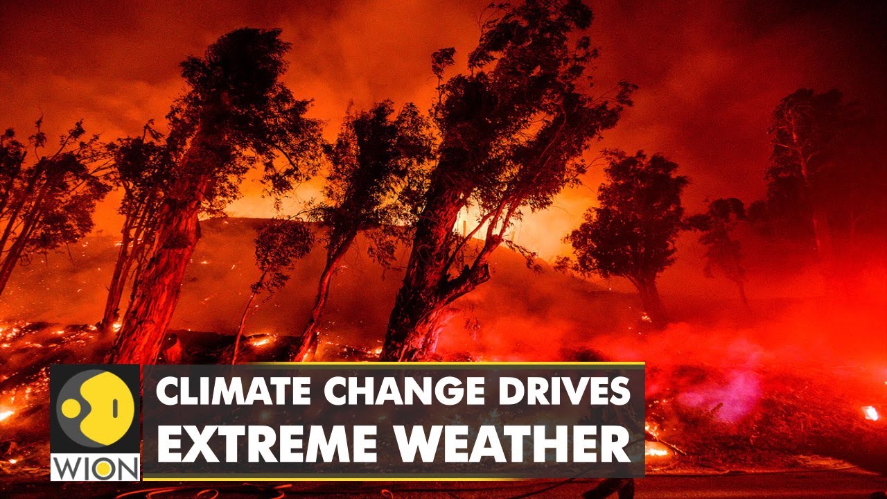 Human-induced climate change causing erratic weather | WION Climate ...