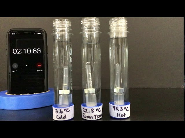 Yeast Fermentation Lab Temperature Lab Explained: Production Of Yeast