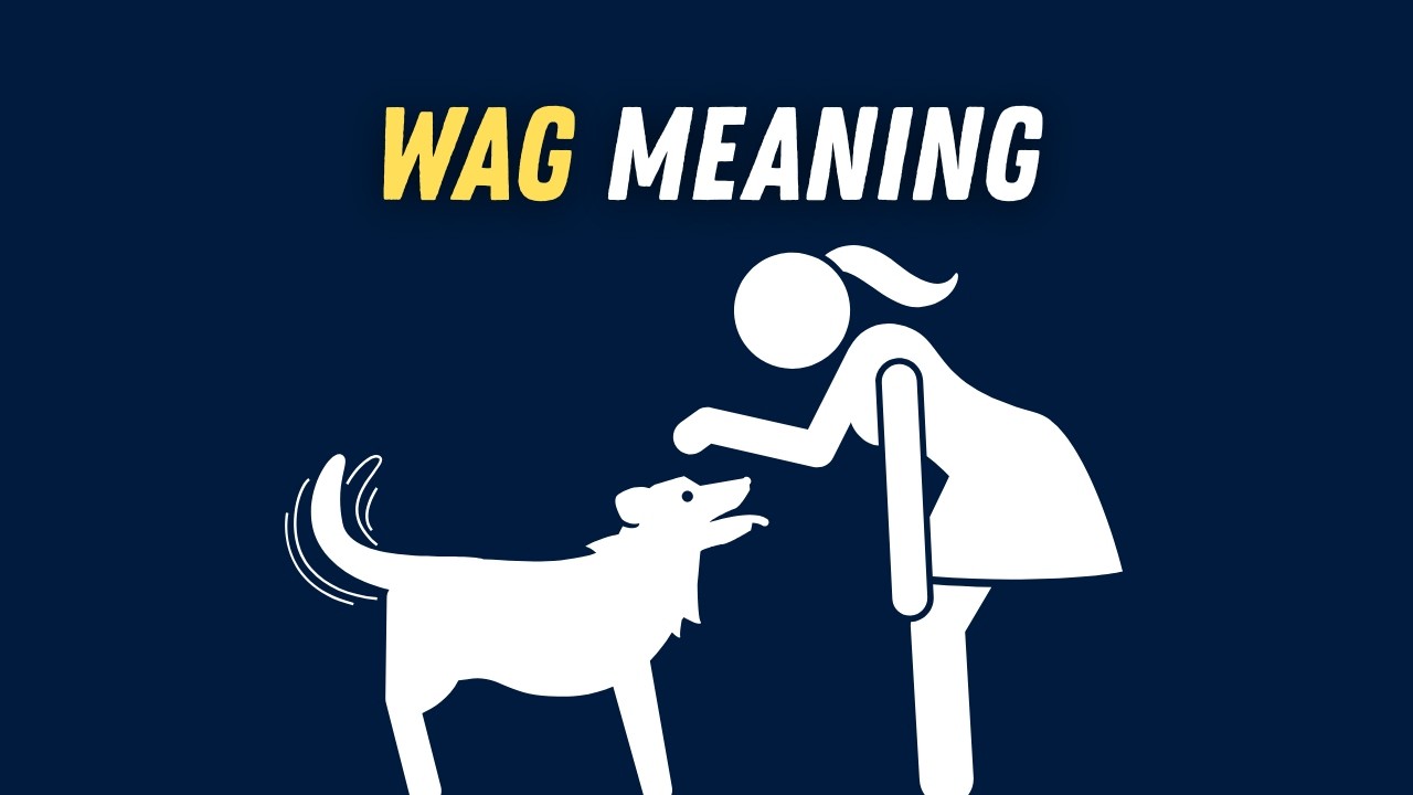 Wag Meaning in English | Wag Definition + Examples | Easy Vocabulary ...