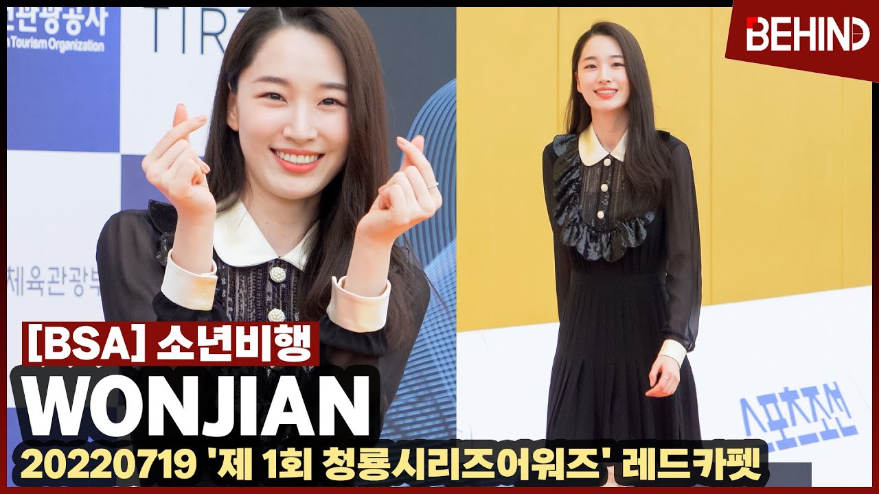 [BSA] 원지안(WonJiAn), 빛나는 미모··· BSA 레드카펫 현장 (제1회 청룡시리즈어워즈 ...