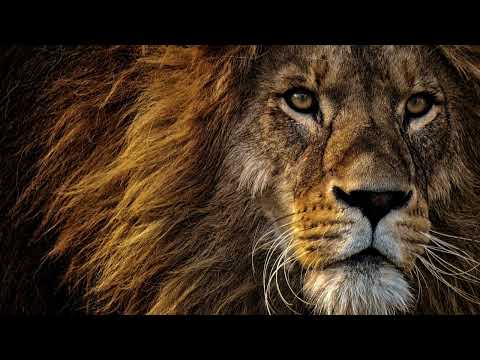 Eminem(에미넴) - Kings Never Die    1시간 연속 재생