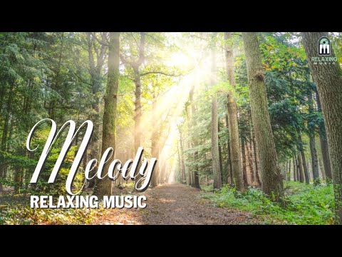 Melodious Relaxing Music • Soft Piano & Guitar Music - YouTube
