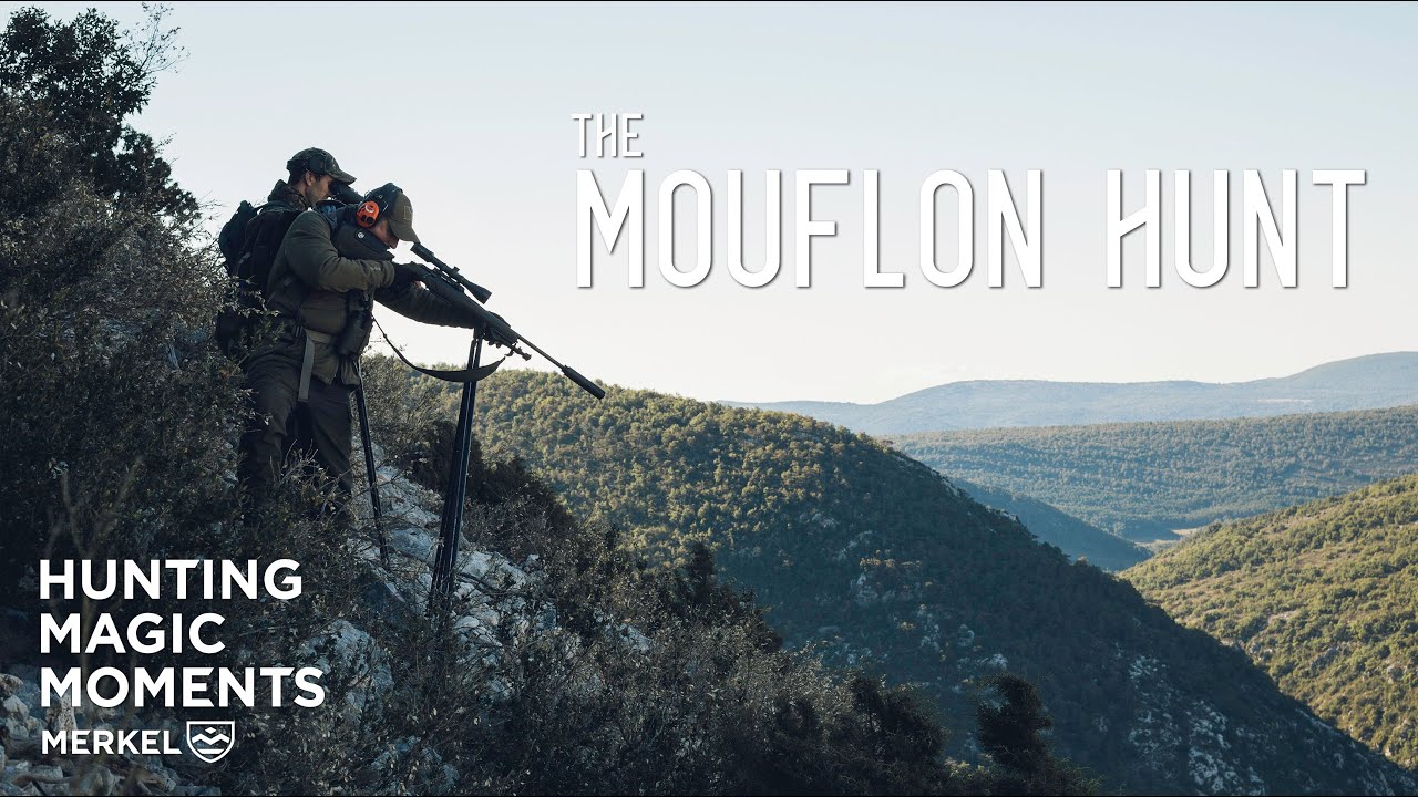THE MOUFLON HUNT | HUNTING MAGIC MOMENTS - YouTube