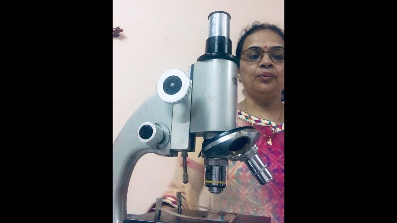 Class-11th - Experiment To study the parts of a compound microscope ...