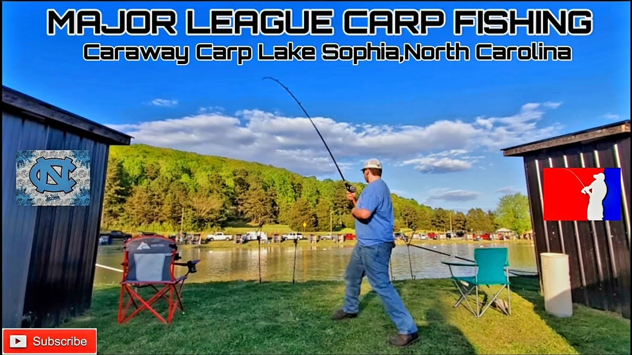 MAJOR LEAGUE CARP FISHING TOURNAMENT TRAIL @ CARAWAY CARP LAKE (SOPHIA ...