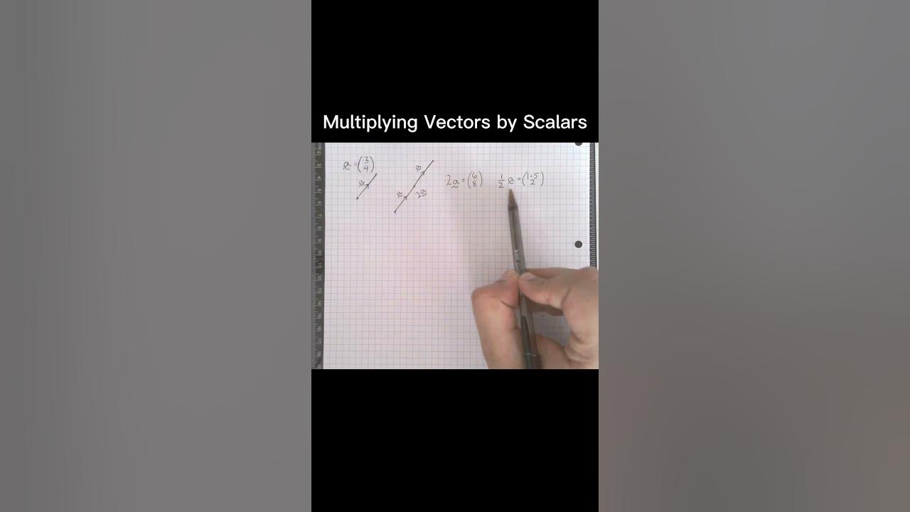GCSE Vectors; Multiplying Vectors by a Scalar #fypシ #foryou #shorts ...