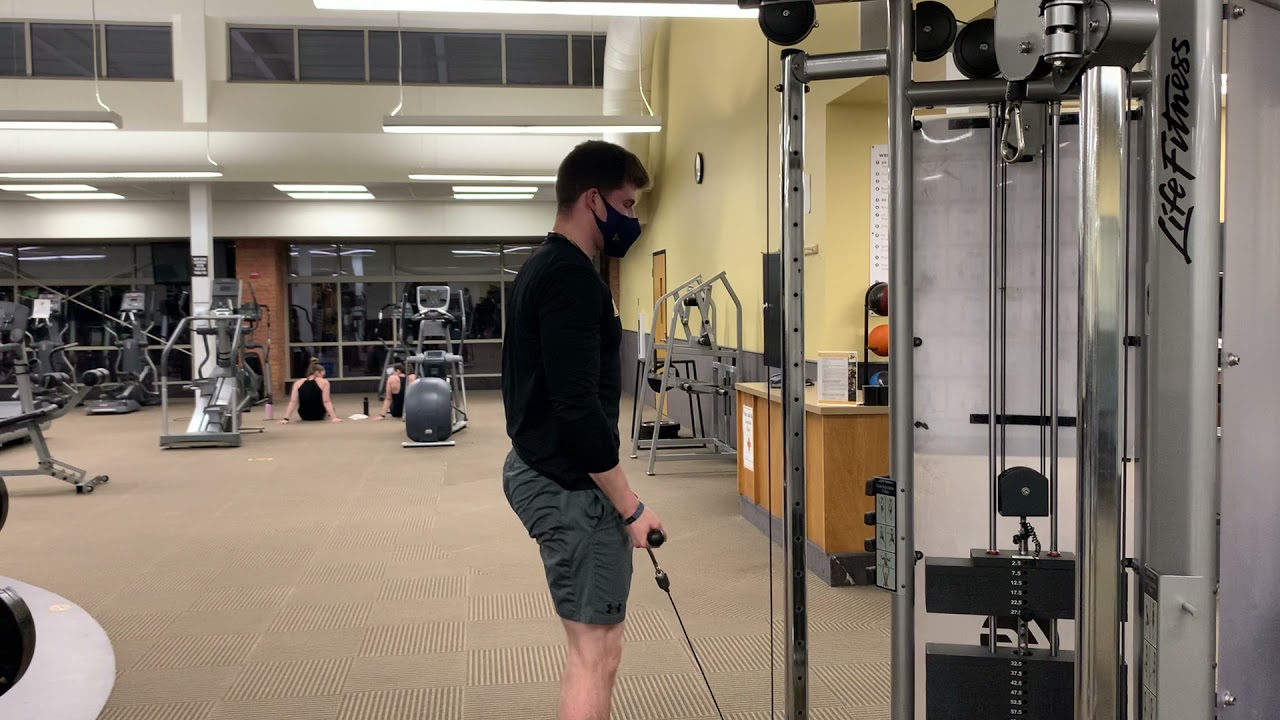 Straight Bar Cable Bicep Curl Demonstration - YouTube