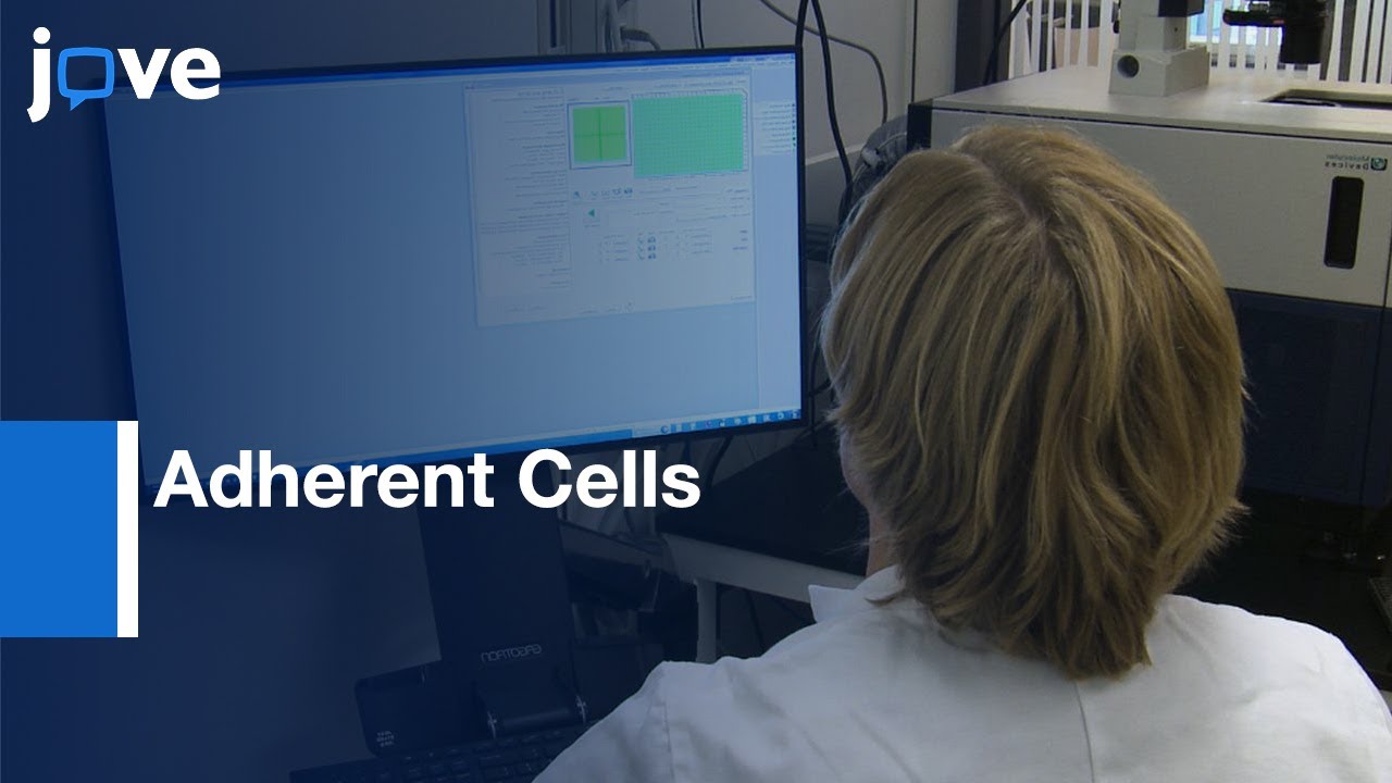 Target Engagement in Adherent Cells Quantification | Protocol Preview ...