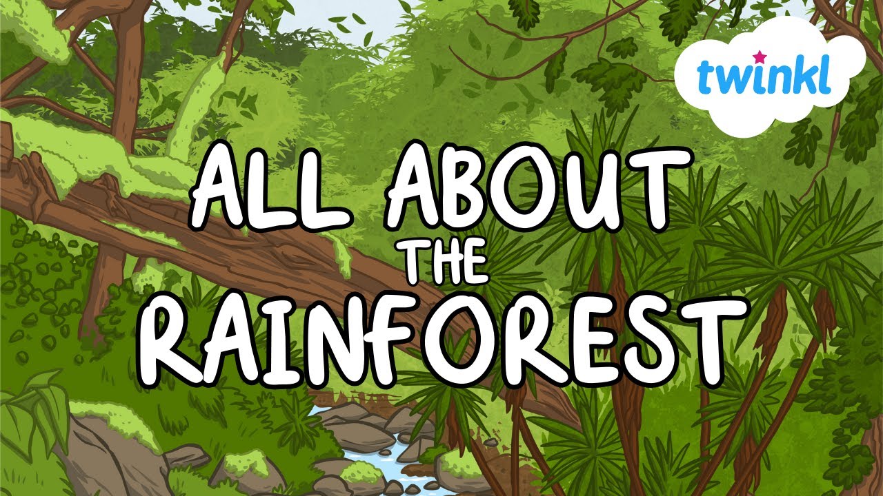 Rainforest Fun Facts For Kids World Rainforest Day Twinkl USA YouTube rainforest-fun-facts-for-kids-world-rainforest-day-twinkl-usa-youtube