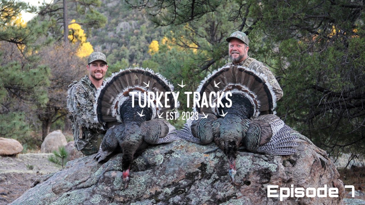 GOULDS TURKEYS IN OUR LAP | MEXICO TURKEY HUNTING PART 1 | EP. 7 - YouTube