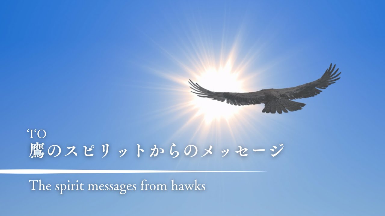 「鷹のスピリットからのメッセージ」The spirit messages from hawks - YouTube