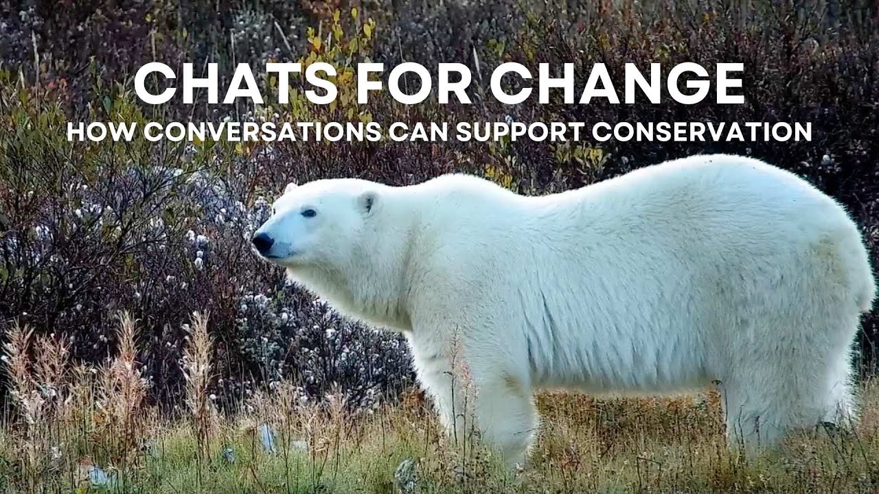 Chats for Change - How Conversations Can Support Conservation | Tundra ...