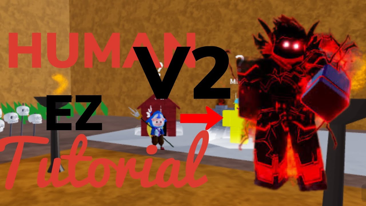How to get human v2 (BLOX FRUIT) - YouTube