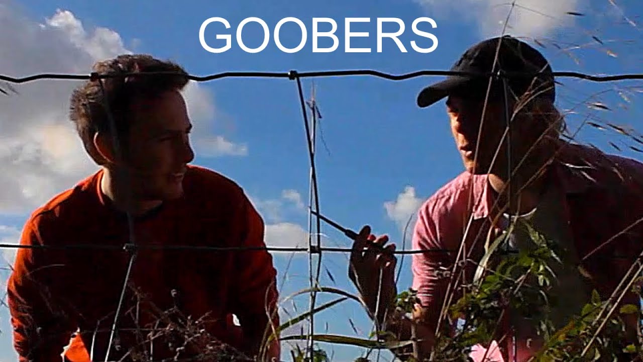 Goobers - YouTube