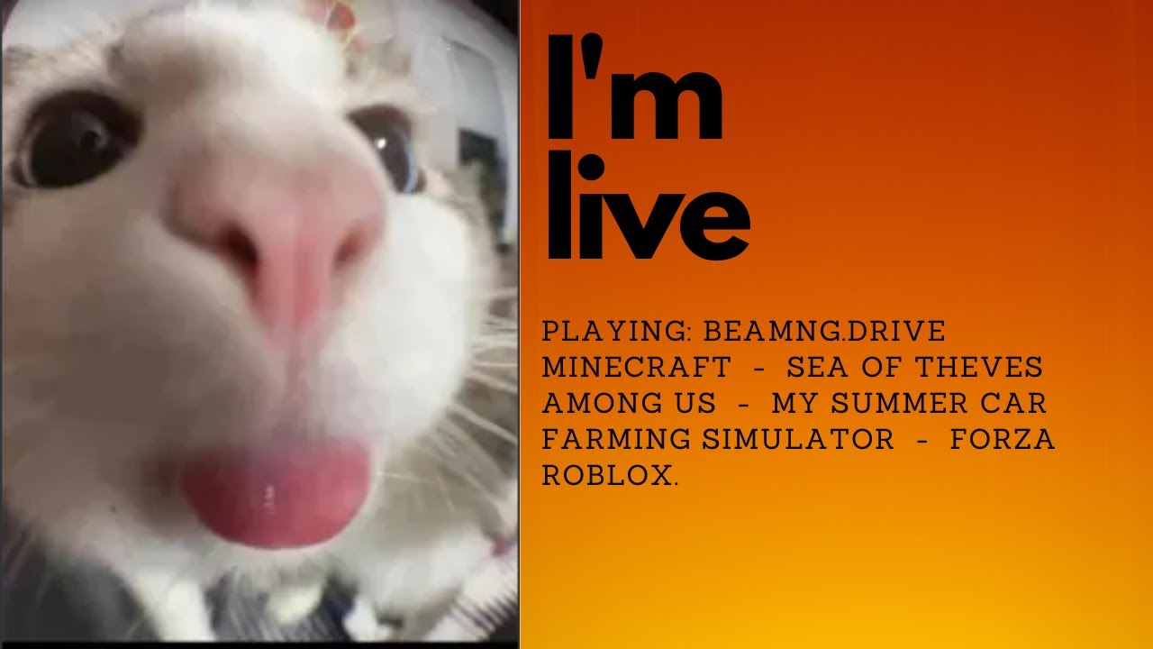 Knee slapper ep.13 - YouTube