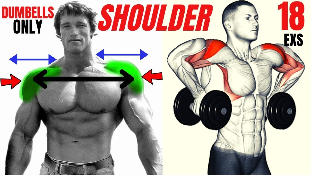 Shoulder Workout Correct Position Top 4 Excercise Ramu Fitness - YouTube