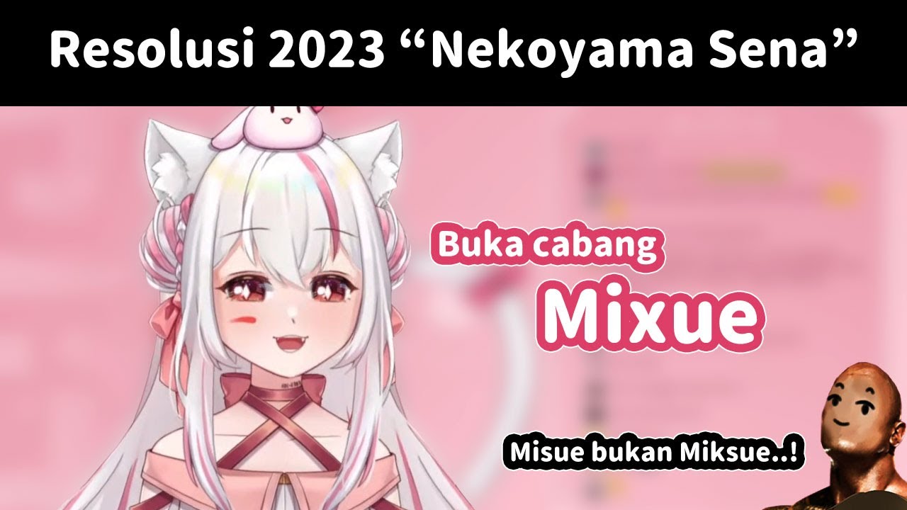 Resolusi Sena di Tahun 2023【Nekoyama Sena/YumeLive】 - YouTube