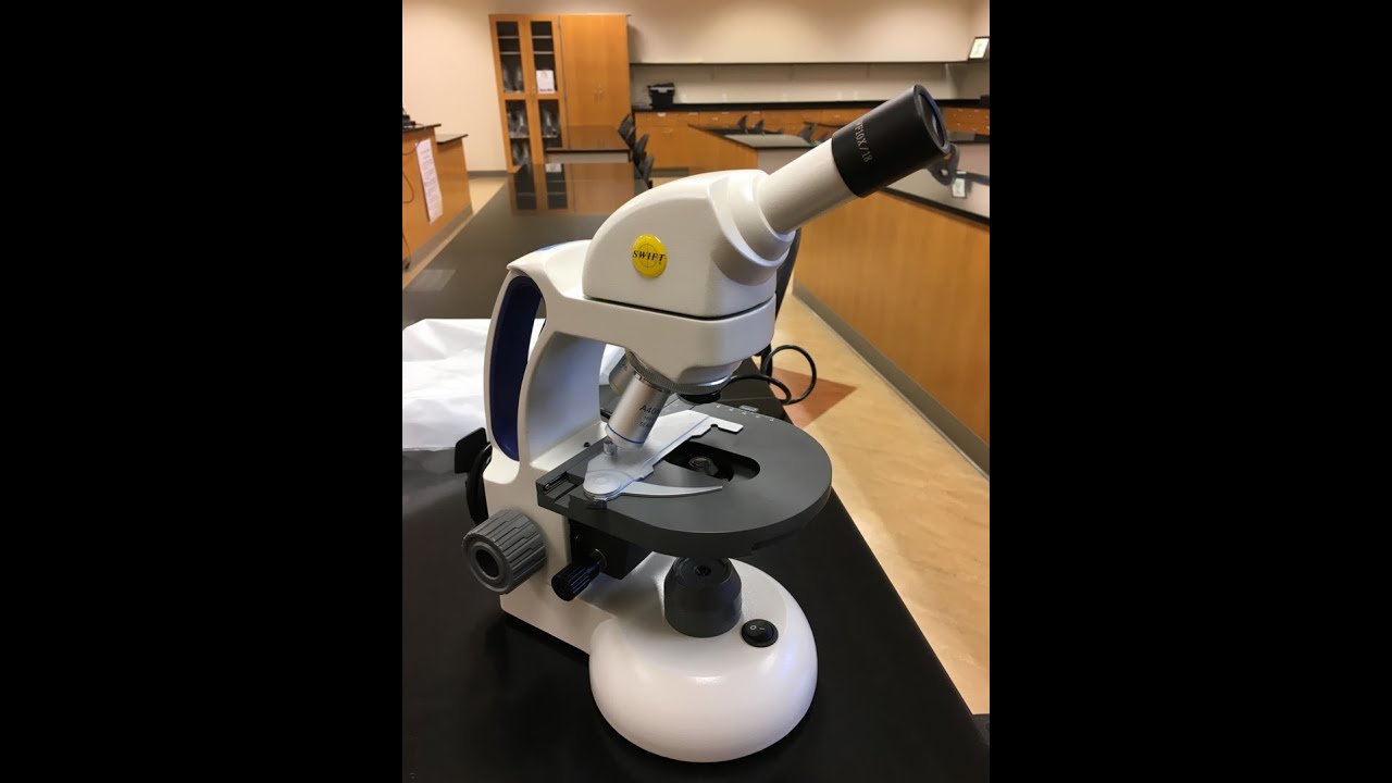 Microscope Use Tutorial - YouTube