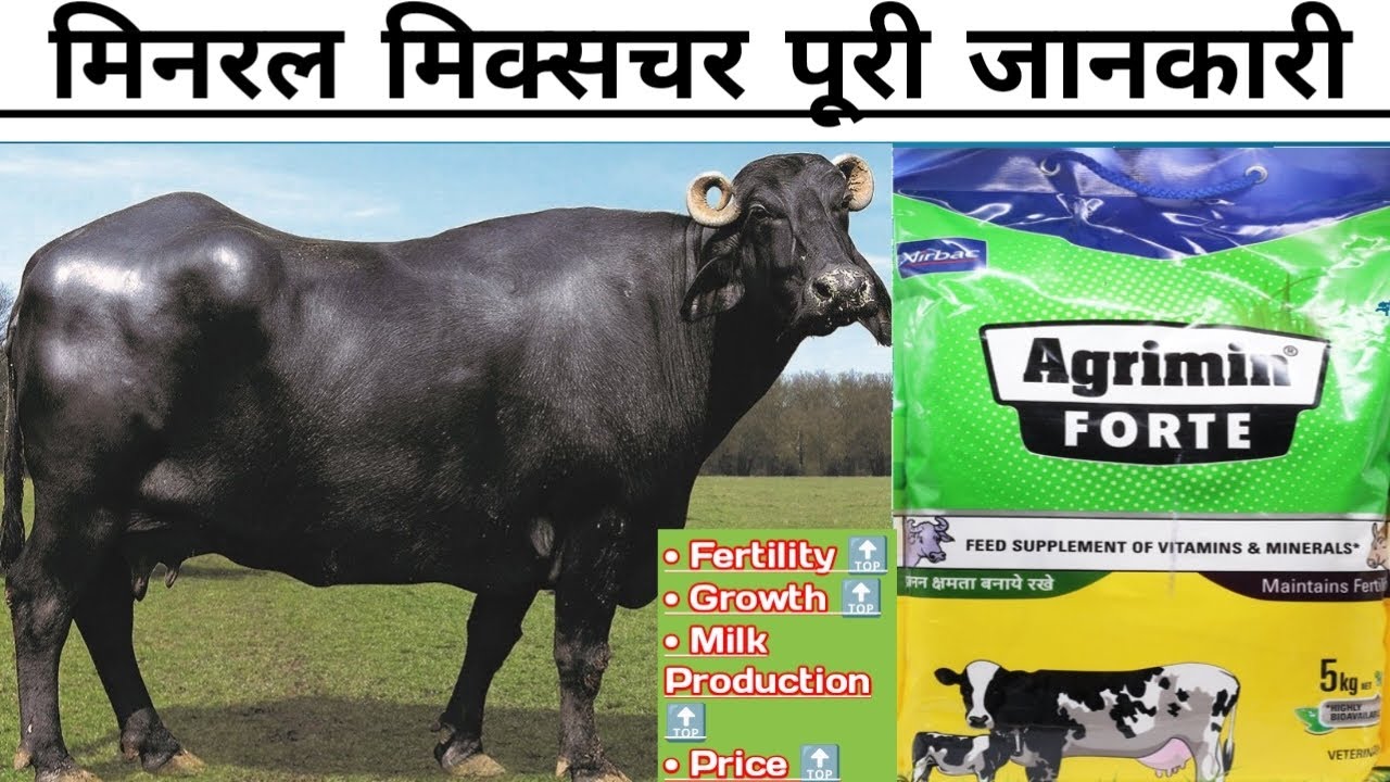Agrimin forte | agrimin forte 5kg | agrimin forte mineral mixture ke ...