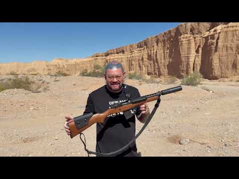 Sheep in Wolfs Clothing Mini-14 That Shoots Like a 10-22