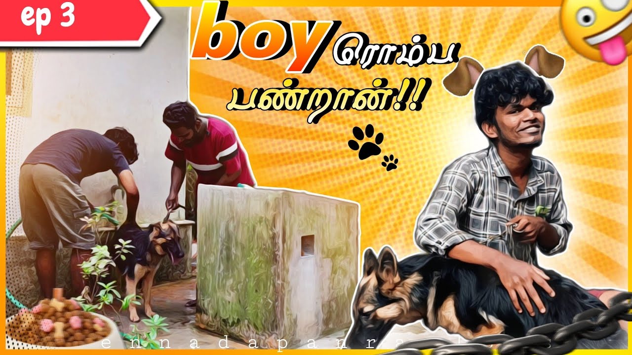 boy இனிமேல் இங்க தான் 😀 | ennadapanravlogs | vlog 43 #ennadapanravlogs ...