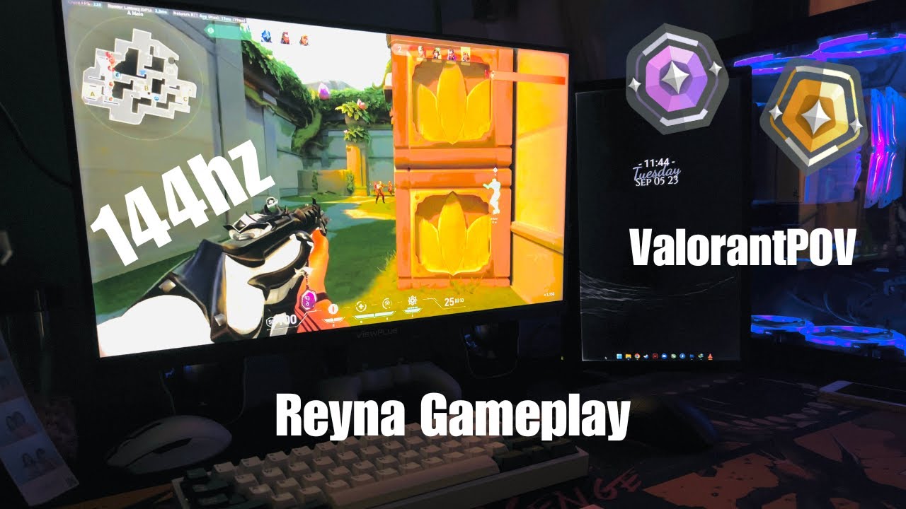 Reyna's POV in VALORANT | Keyboard ASMR | Lofi Chill + Raining Sounds 🎶 ...