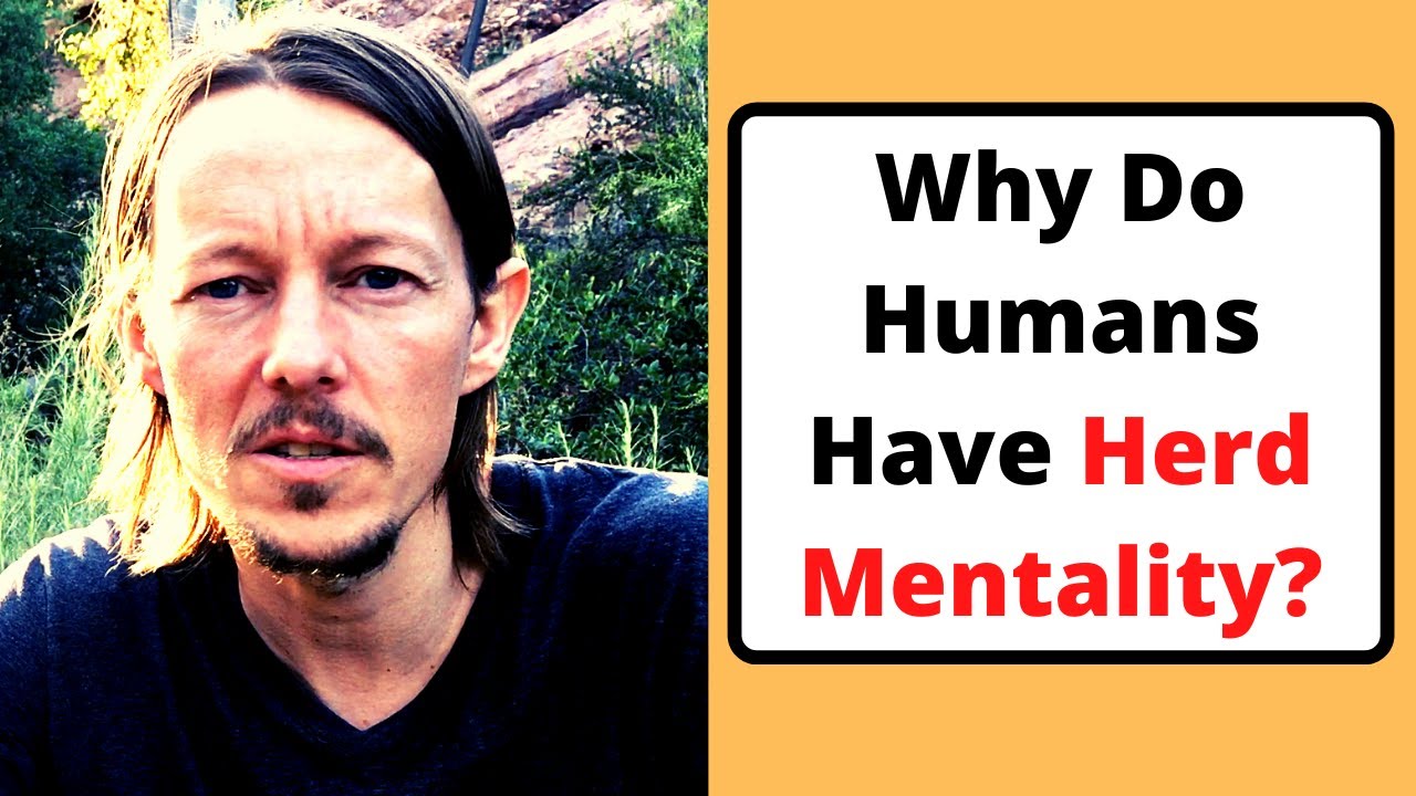 Why Do Humans Have Herd Mentality #0019 - YouTube