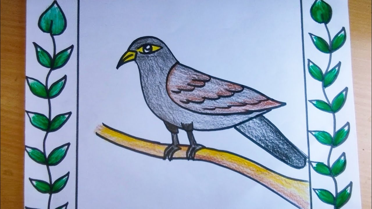 Maina Drawing Easy For Beginners / How To Draw Maina drawing / मैना ...