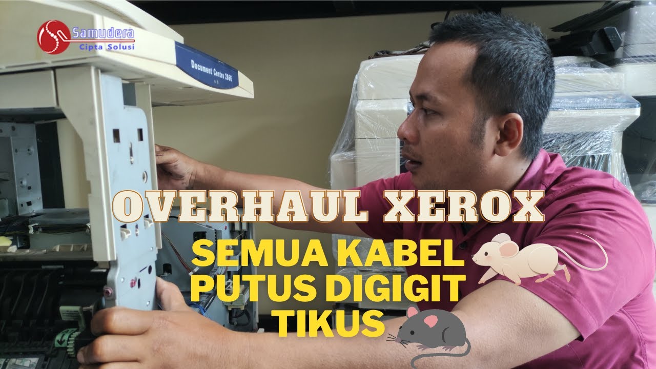 Overhaul Mesin Mati Total Semua Kabel Putus Digigit Tikus-Tikus Kantor ...