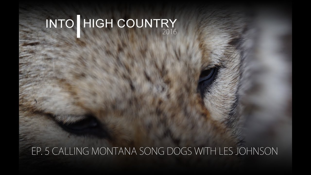 Into High Country Ep.5 2016 - YouTube