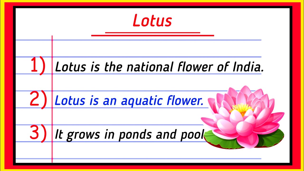 10 Lines Essay on Lotus || Indian National Flower Lotus in English ...