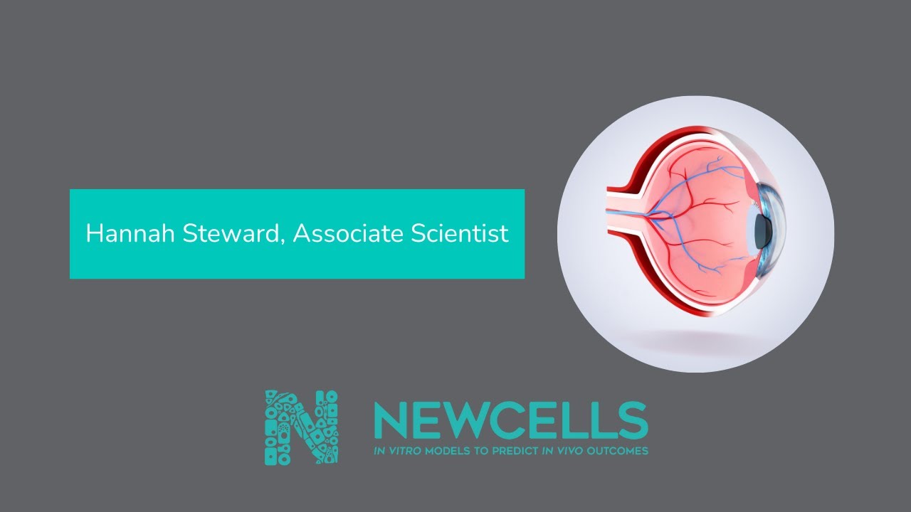 Newcells Retinal Organoids - Hannah Steward - YouTube