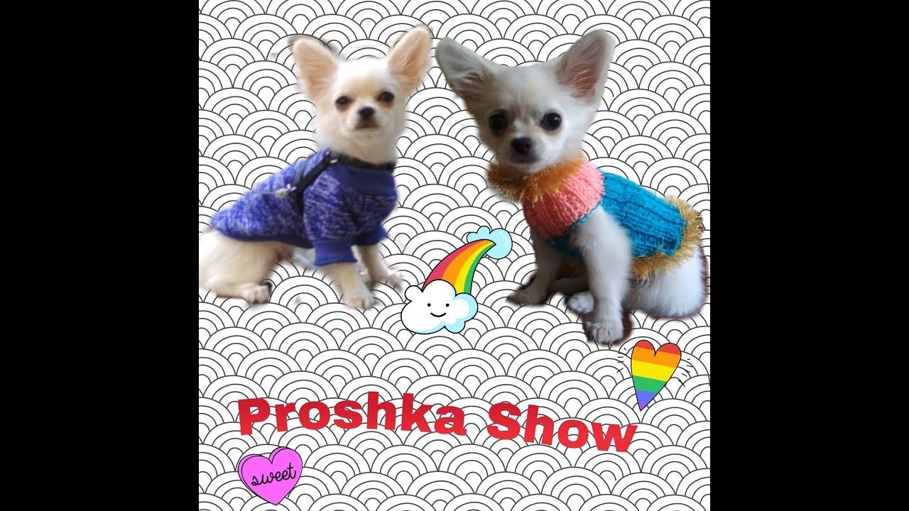 Встречайте канал Proshka Show!!!! - YouTube