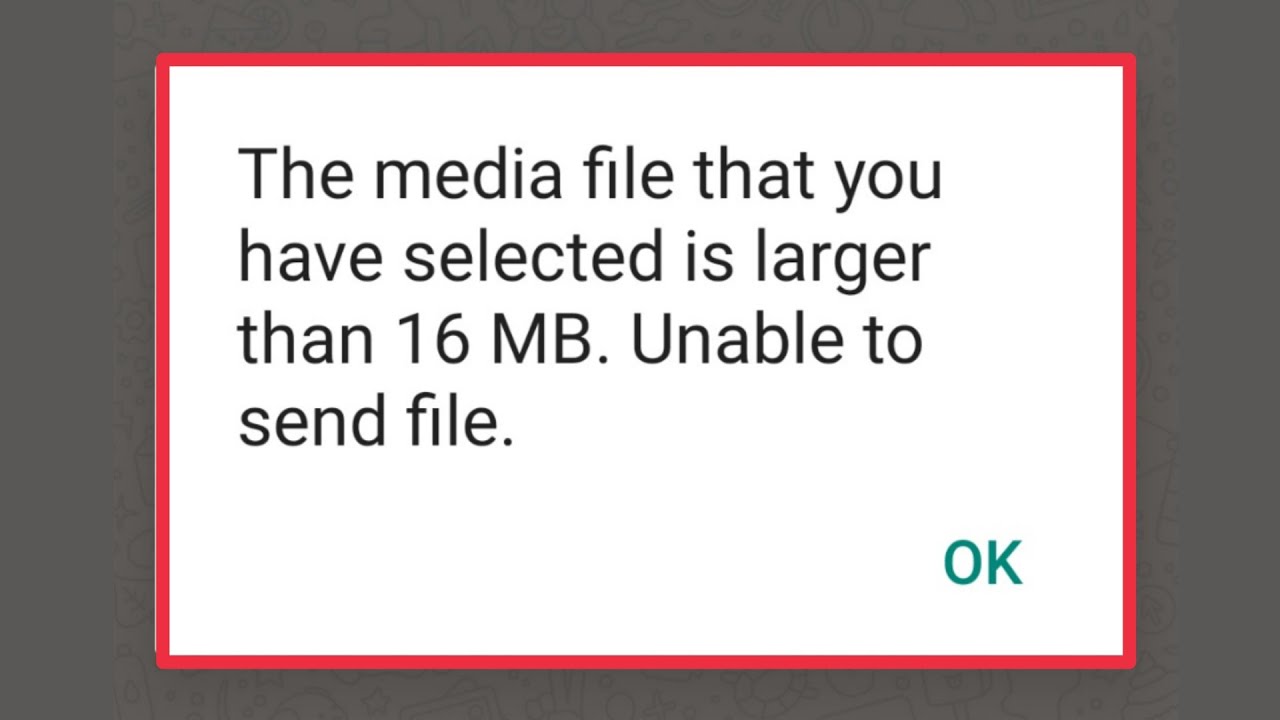 WhatsApp The Media File That You Have Selected Is Larger Than 16 MB whatsapp-the-media-file-that-you-have-selected-is-larger-than-16-mb